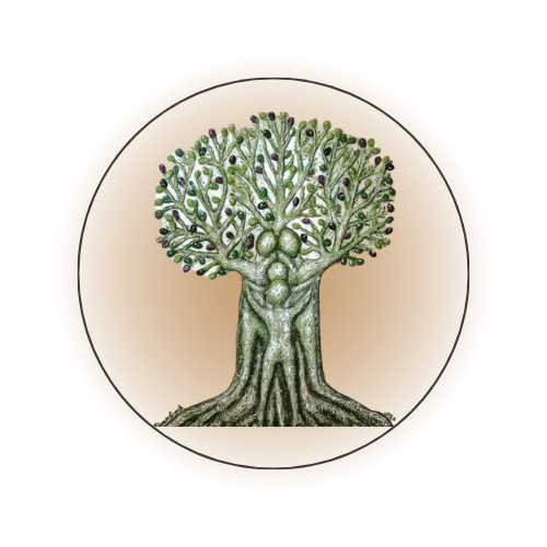 Figen Çiçek Tasarım - zeytinhouse.com